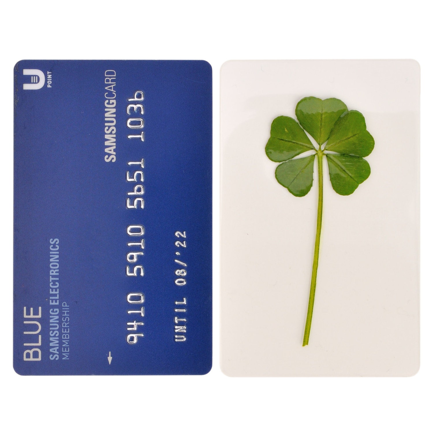 Genuine Real 5 Five-leaf Clover Bookmarks Irish Shamrock Good - Etsy