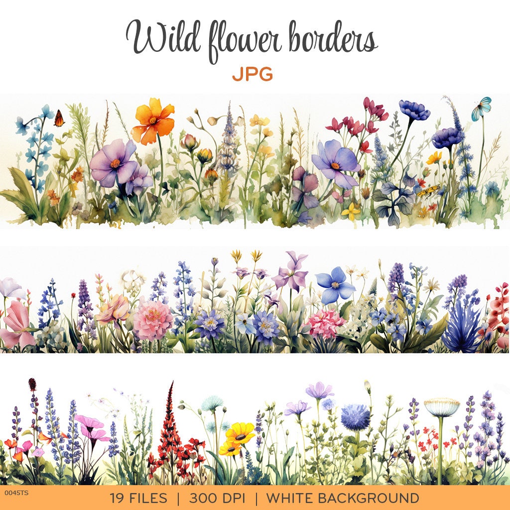 Watercolor Wild Flower Borders, Clip Art Jpgs, Cornflowers, Camomiles ...