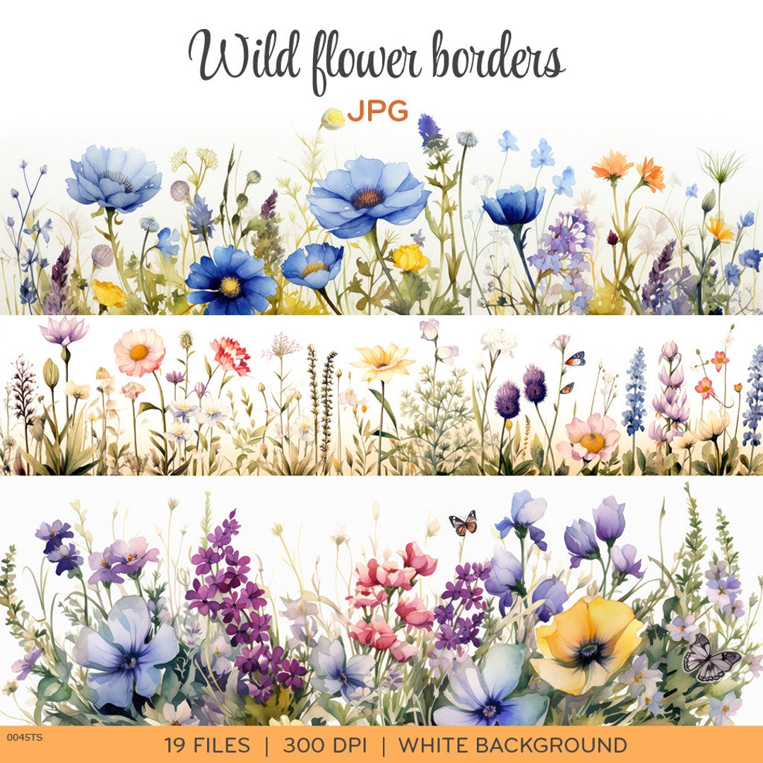 Watercolor Wild Flower Borders, Clip Art Jpgs, Cornflowers, Camomiles ...