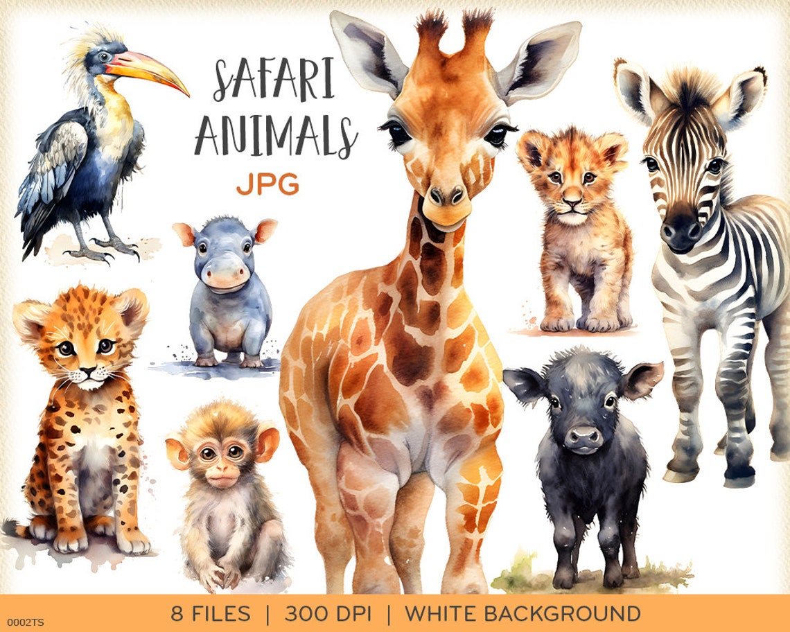 Watercolor Safari Baby Animals Clip Art, Jpgs, Lion, Leopard, Zebra ...