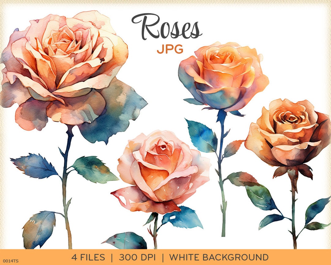 Watercolor Roses Clip Art, Jpgs, Multicolor Watercolour Roses ...