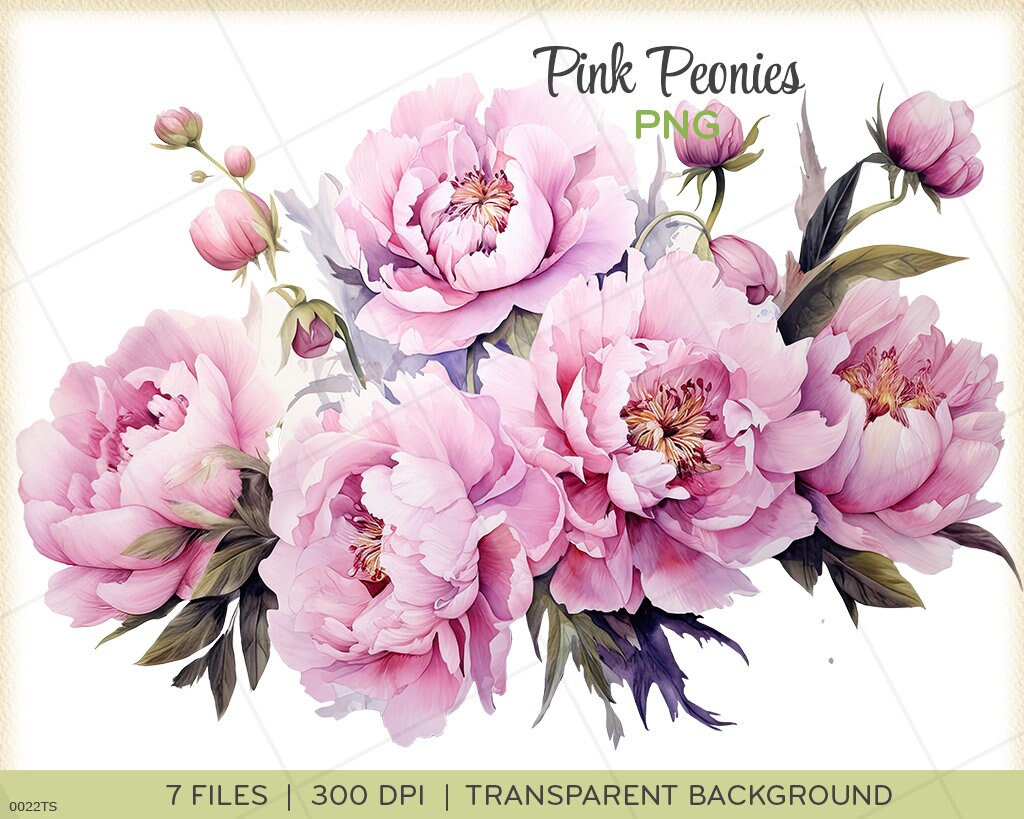 Watercolor Pink Peonies Clip Art, Pngs, Pink Aquarelle Flowers, Peony ...