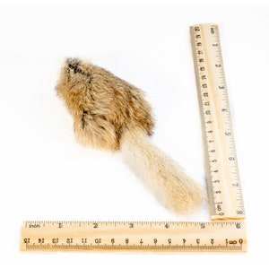 Rabbit Fur Mini Rattle Mouse Shaped Dog Toy - Etsy UK