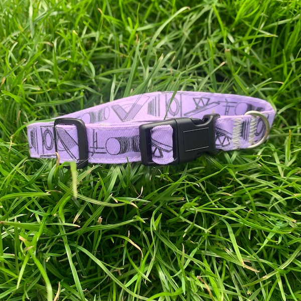 Agility Equipment - Etsy