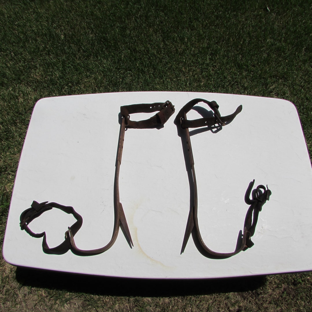 Vintage Buckingham Climbing Spikes, Linemen's Climbing Spikes ...