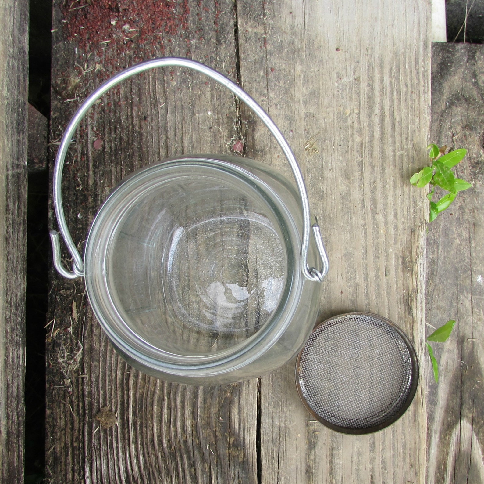 Vintage Fire-fly Jar Ball Half Gallon Mason Jar Steel Screen - Etsy