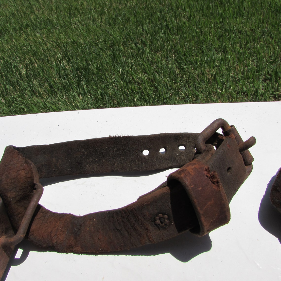 Vintage Buckingham Climbing Spikes Linemen's Climbing - Etsy