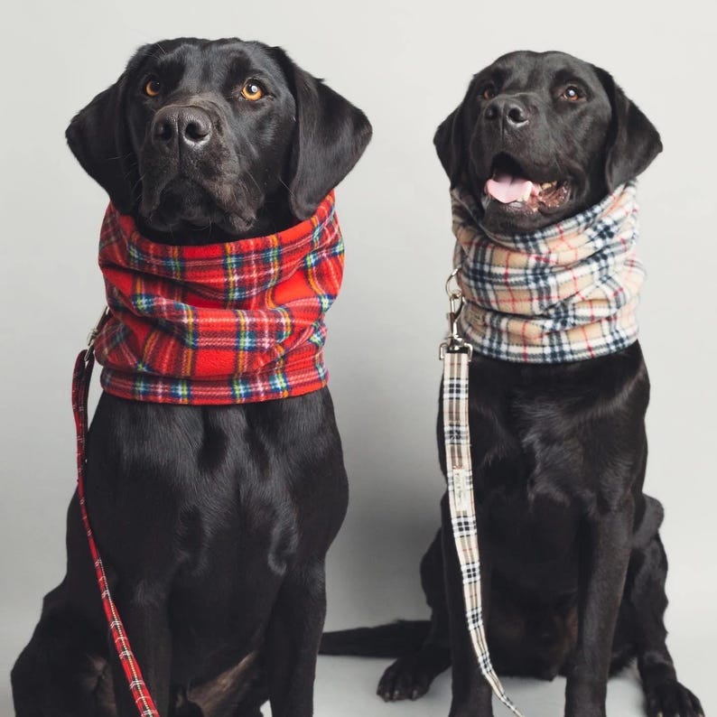 Caramel Plaid Print Fleece Dog Snood / Neck Warmer - Etsy