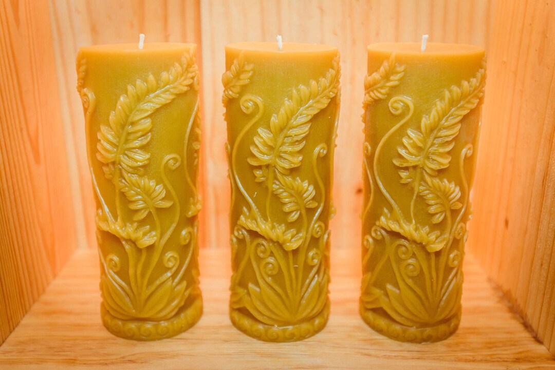 Beeswax Rustic Fern Cylinder Candle (18.10 Cm X 6.35 Cm) - Etsy UK
