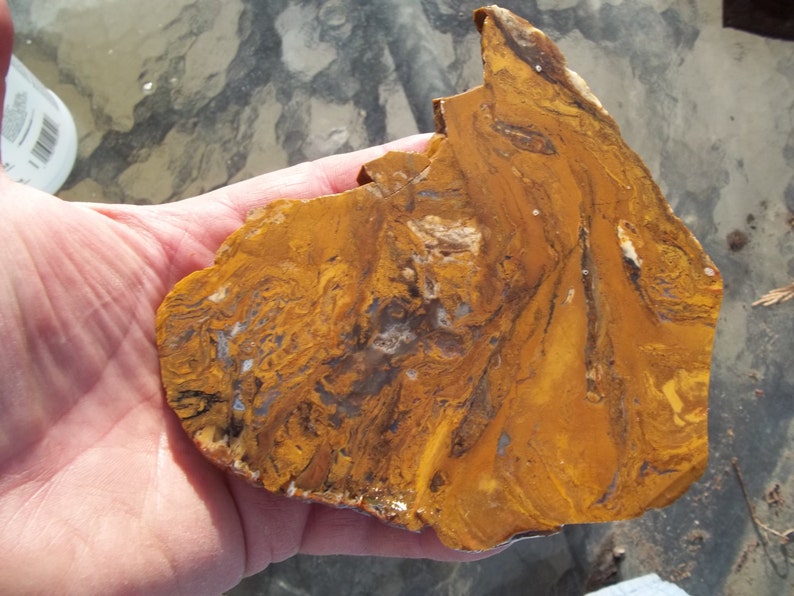 Jasper/agate Slab, From a Vintage Collection. #52 - Etsy