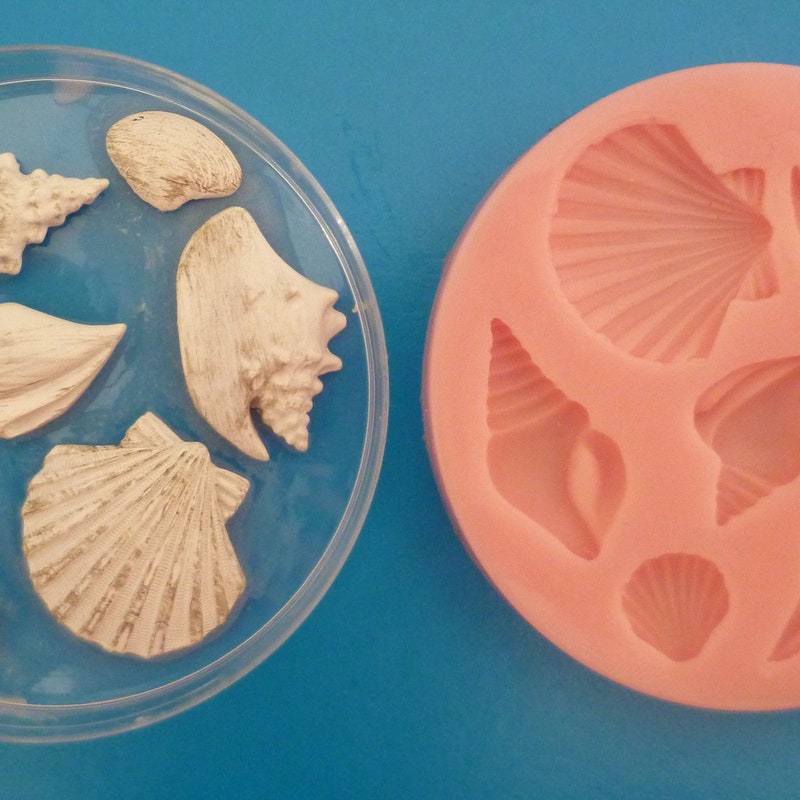 Sea Shell Fondant Mould - Etsy