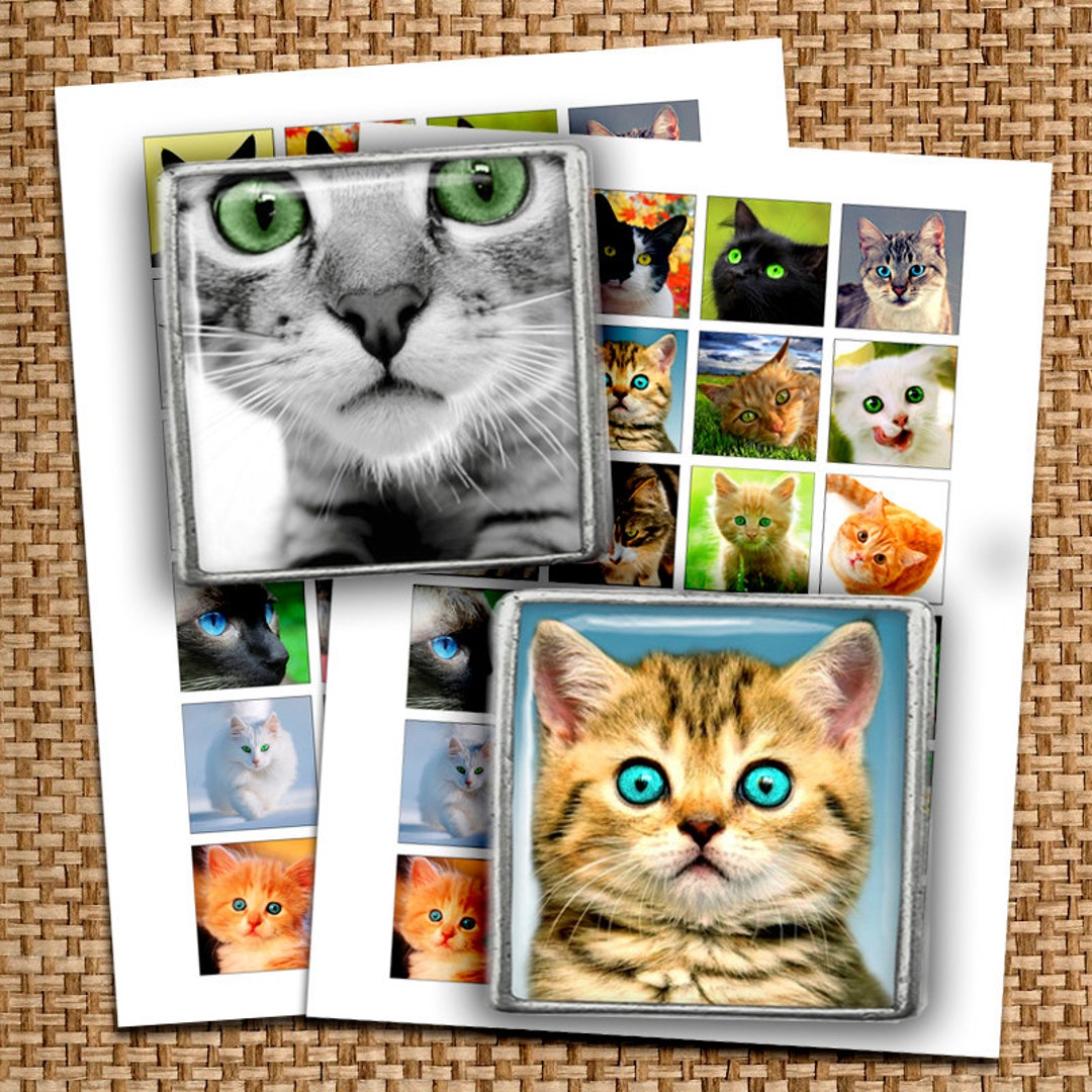 Cats Square Images 1x1 Inch 1.5x1.5 Inch 0.75x0.83 Scrabble Size for ...