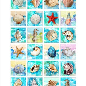 Seashells Square Images 1x1 Inch 1.5x1.5 Inch Shells Printable Images ...