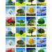 Trees 1x1 Inch 1.5x1.5 Inch Square Images Printable Tree Images Digital ...
