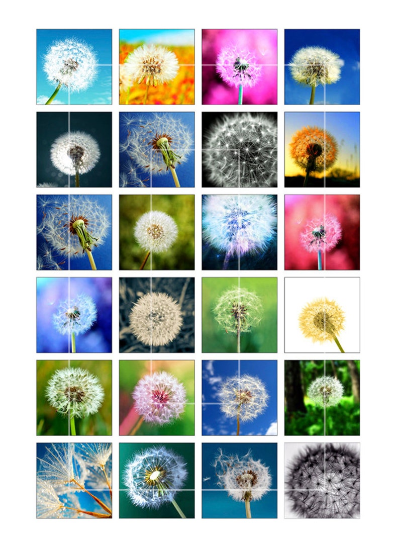 Dandelion Digital Collage Sheet 1 Inch 1.5 Inch Square | Etsy