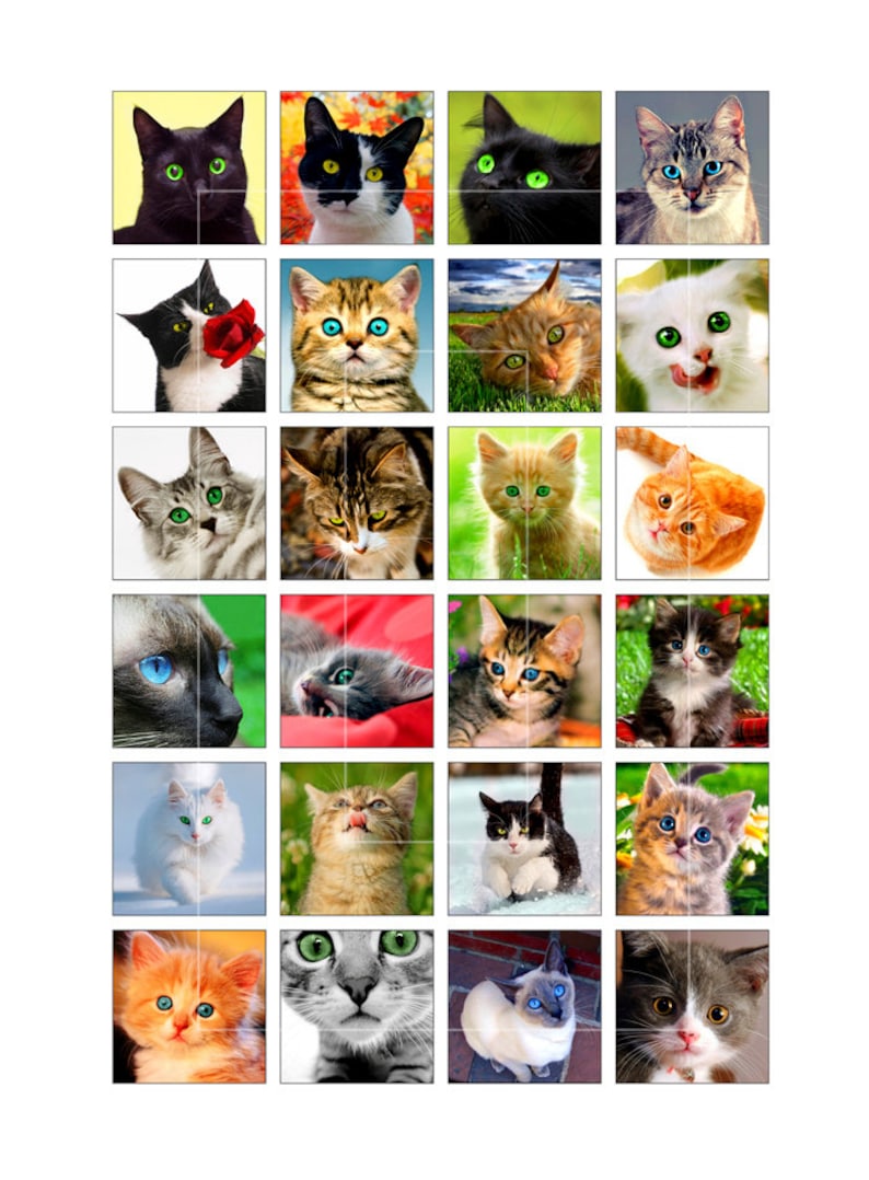 Cats Square Images 1x1 Inch 1.5x1.5 Inch 0.75x0.83 Scrabble | Etsy
