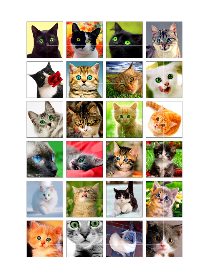 Cats Square Images 1x1 Inch 1.5x1.5 Inch 0.75x0.83 Scrabble | Etsy