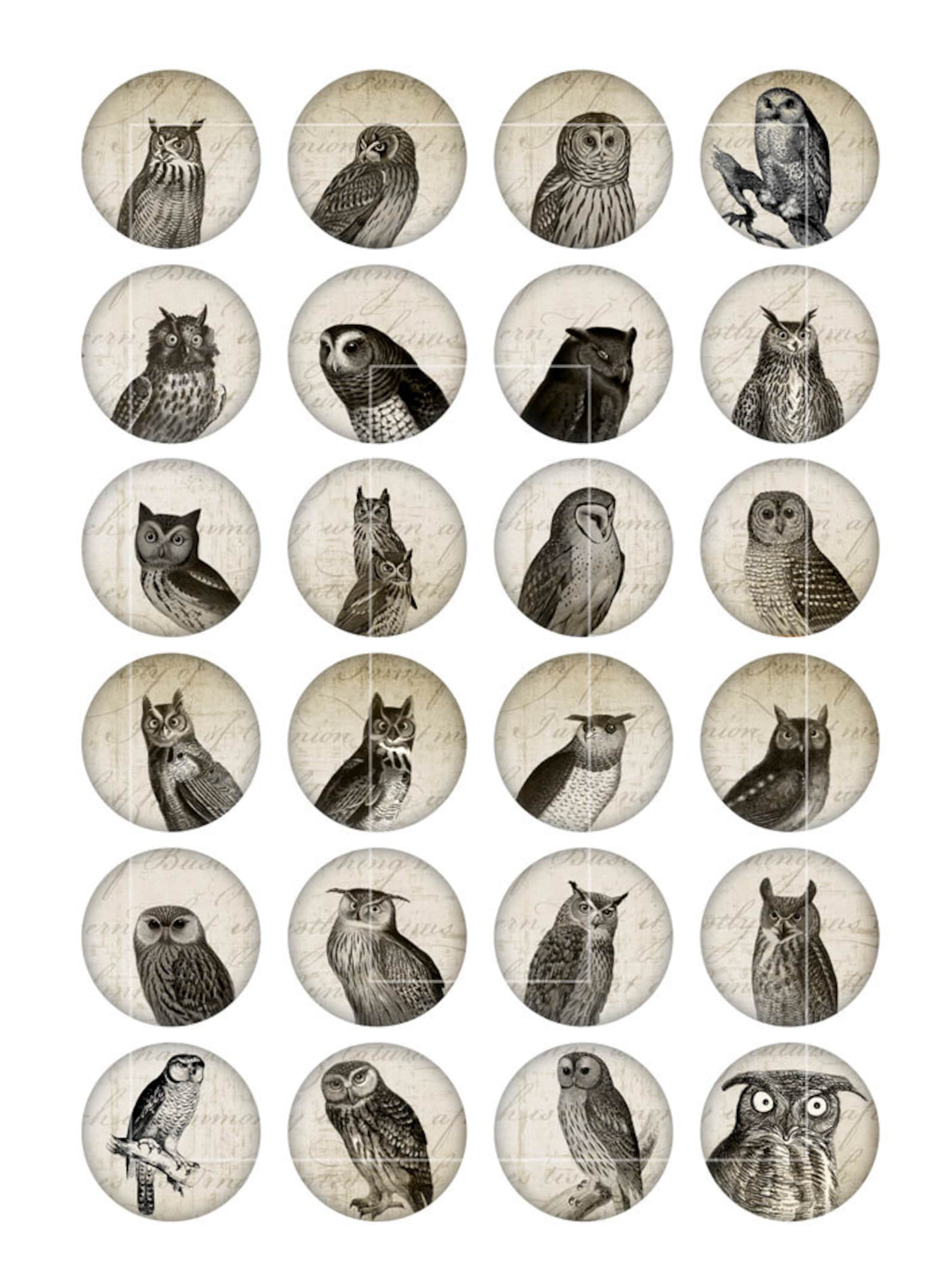 Vintage Owls Printable Images 1 Inch 25mm 1.5 Inch for - Etsy