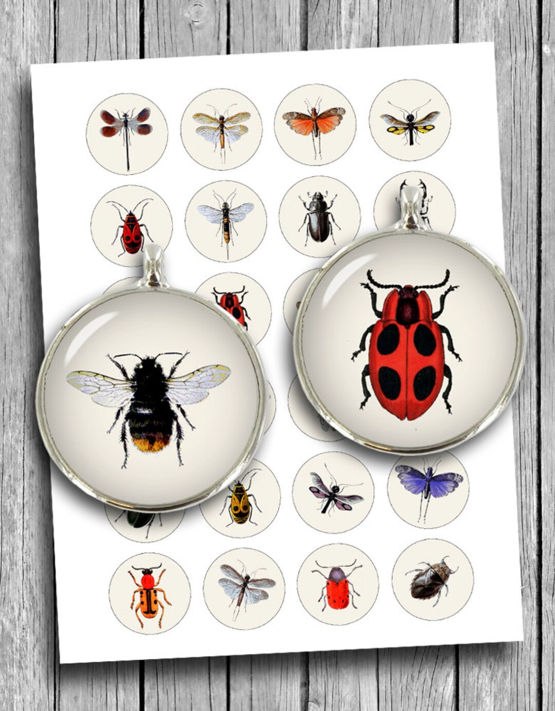 Vintage Insects and Bugs 1 Inch 25mm 20mm 1.313 Inch 1.5" Printable ...