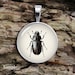 Vintage Insects and Bugs 1 Inch 25mm 20mm 1.313 Inch 1.5 Printable ...