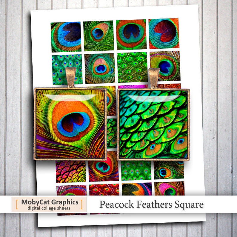 Peacock Feathers Square Images 1x1 Inch 1.5x1.5 Inch Peacock Printable ...