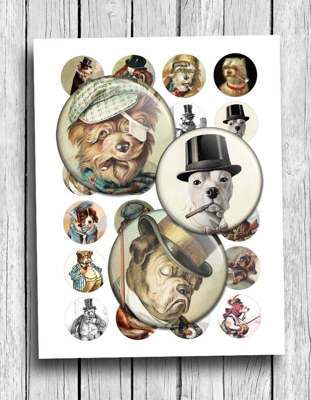 Victorian Dogs in Clothes Printable Rounds: Digital Collage Sheet (1 ...