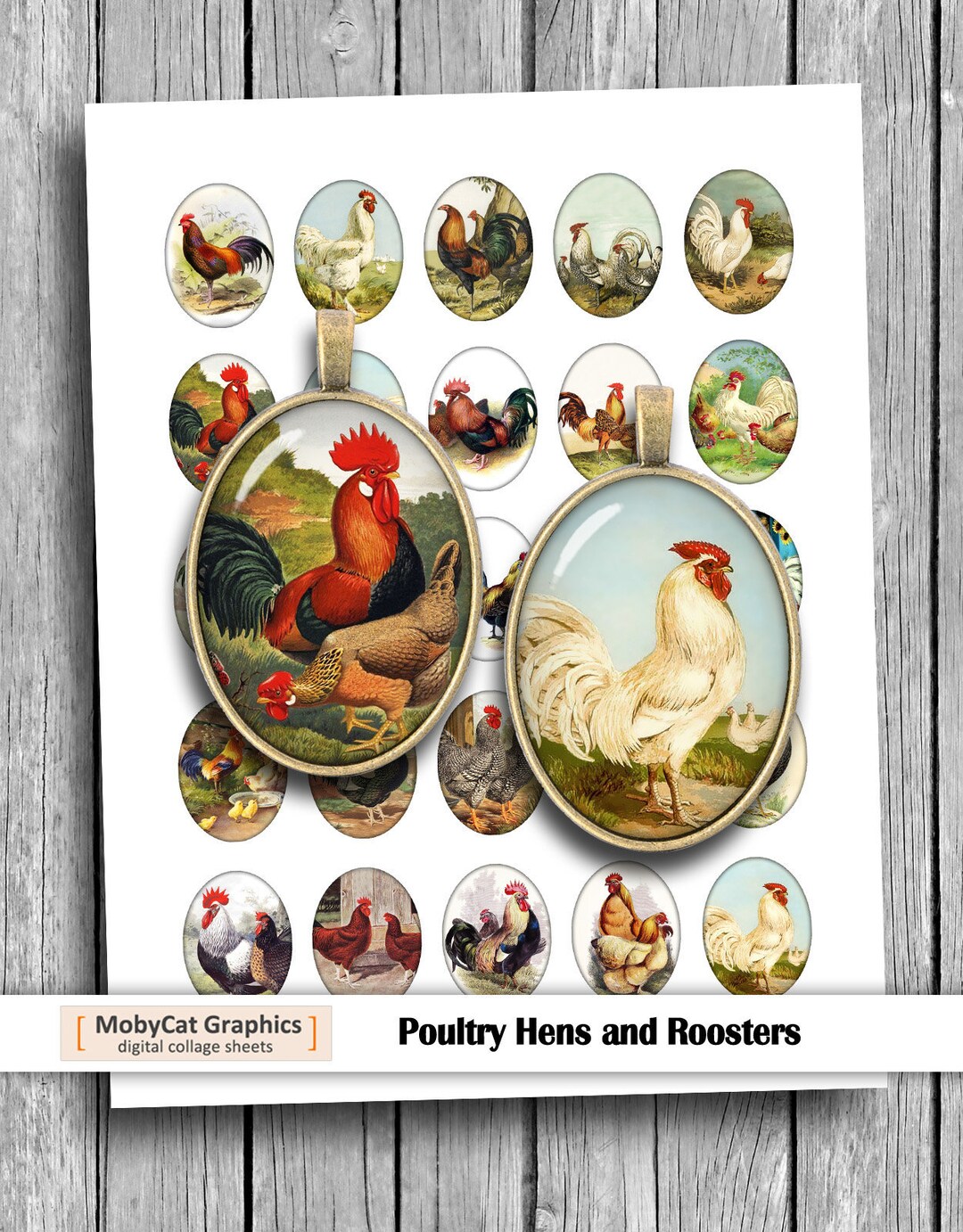 Poultry Hens and Roosters 13x18mm 30x40mm, 22x30mm 18x25mm Digital ...