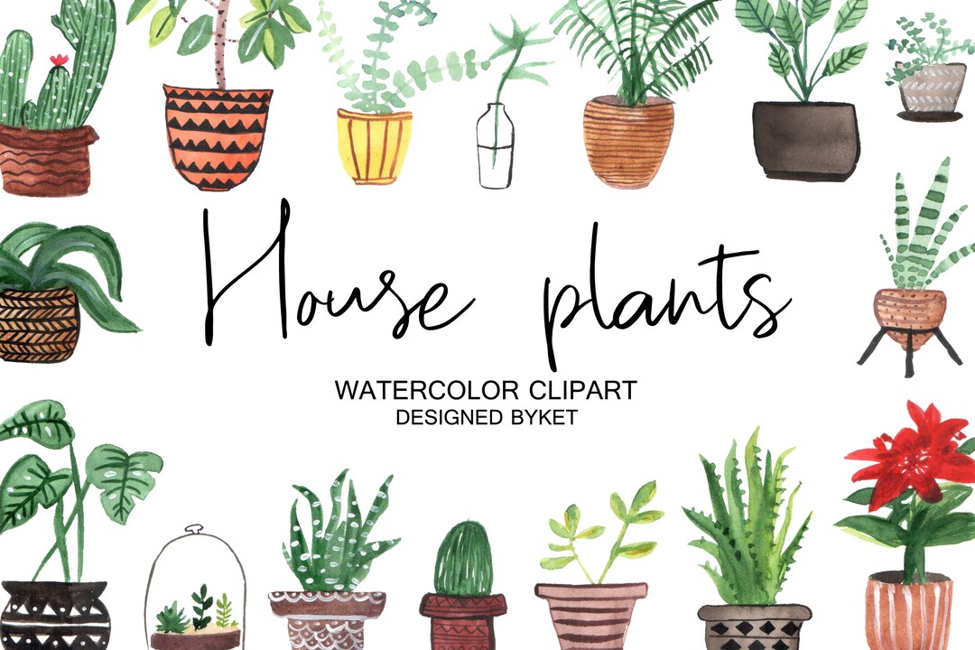 Watercolor House Plants Clip Art Indoor Plants Potted Plant Hand ...