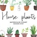 Watercolor House Plants Clip Art Indoor Plants Potted Plant - Etsy