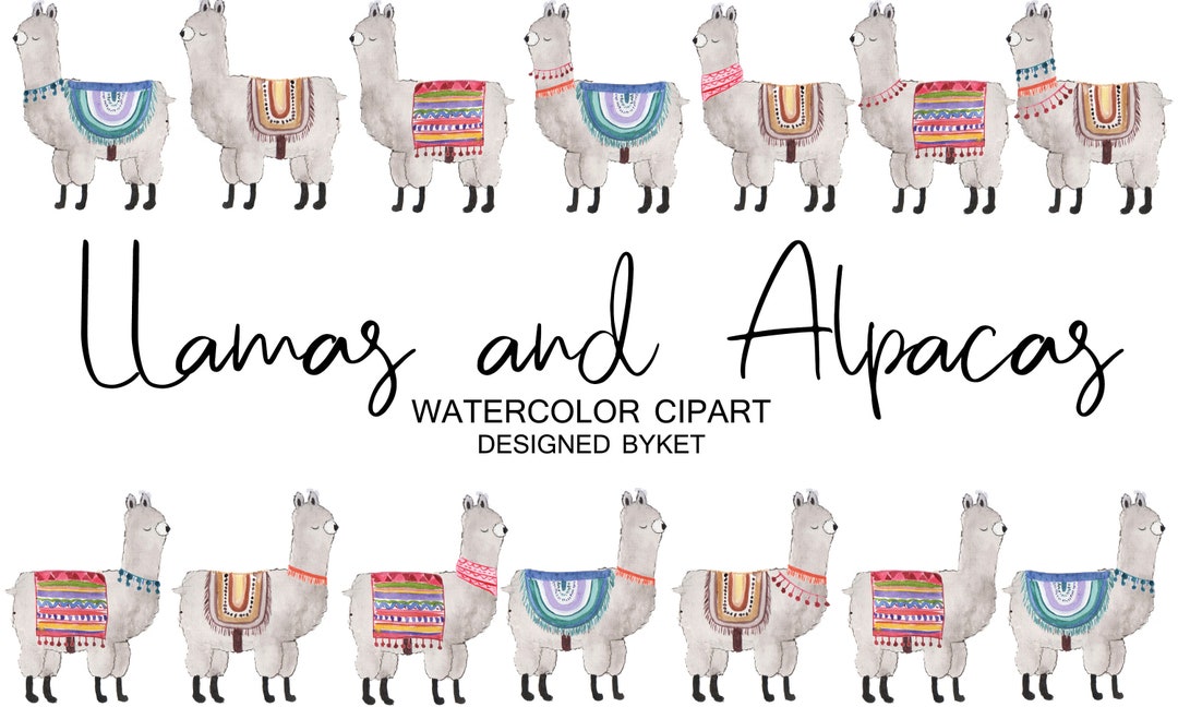 Alpaca Clipart Watercolor Llama Clip Art Animal Clipart Wedding Clipart ...