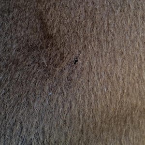 Vintage 1970s Women's Wool Coat Military Green Scandinavian Mod ...