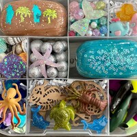 Under the Sea Sensory Play Kit Coral Reef Seaside Messy Play Tuff Tray ...