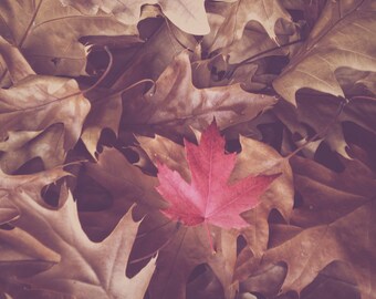 Individualism Art - Etsy