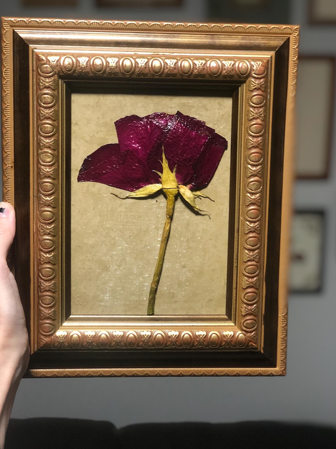 Pressed Red Rose in Gold Frame: Botanical Wall Hanging - Etsy