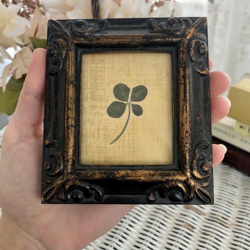 Framed Real Shamrocks - Etsy