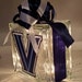 VILLANOVA University Wildcats Lighted Glass Block Nightlight and Decor ...