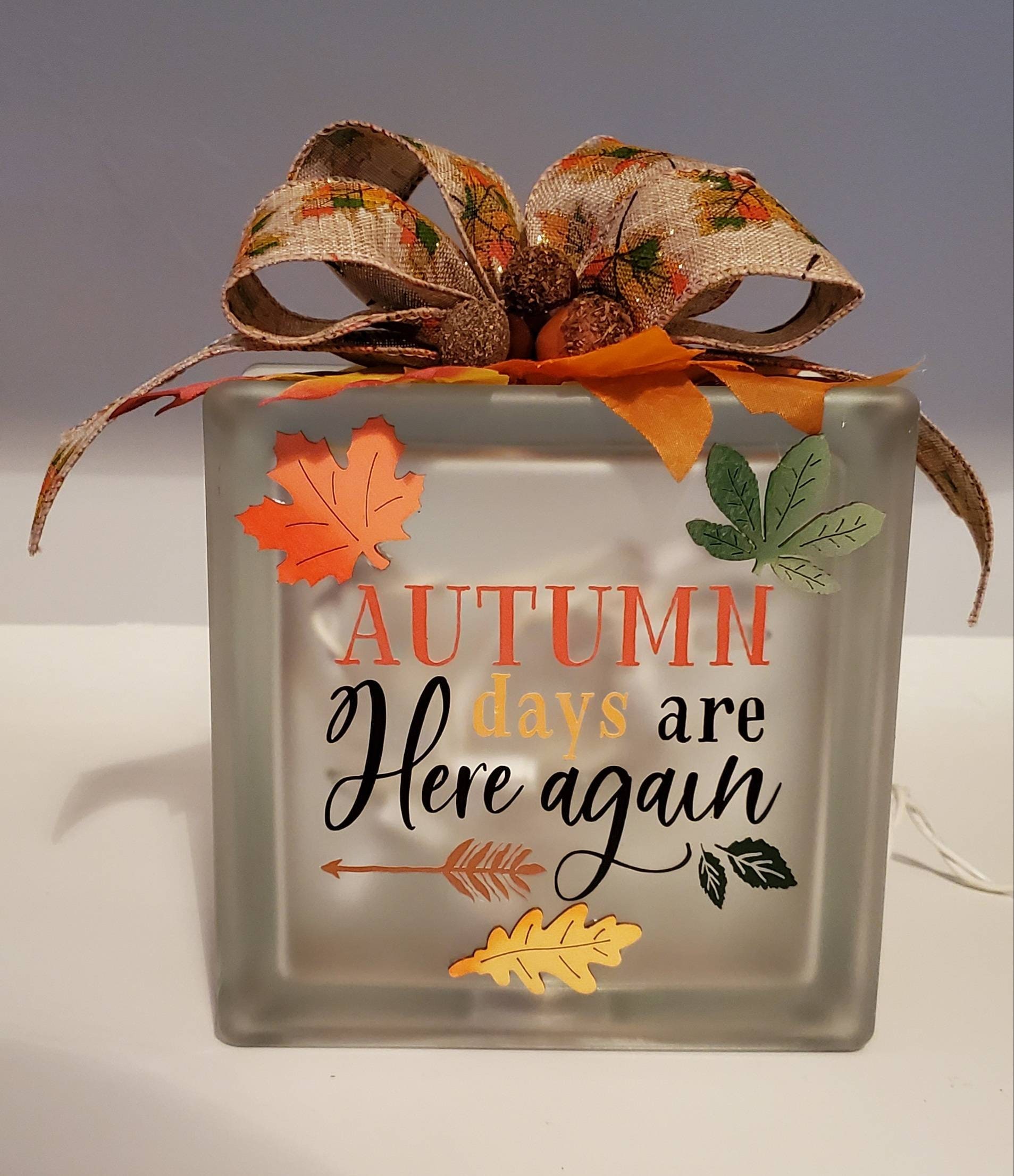 Thanksgiving Lighted Glass Block Harvest Nightlight Holiday | Etsy