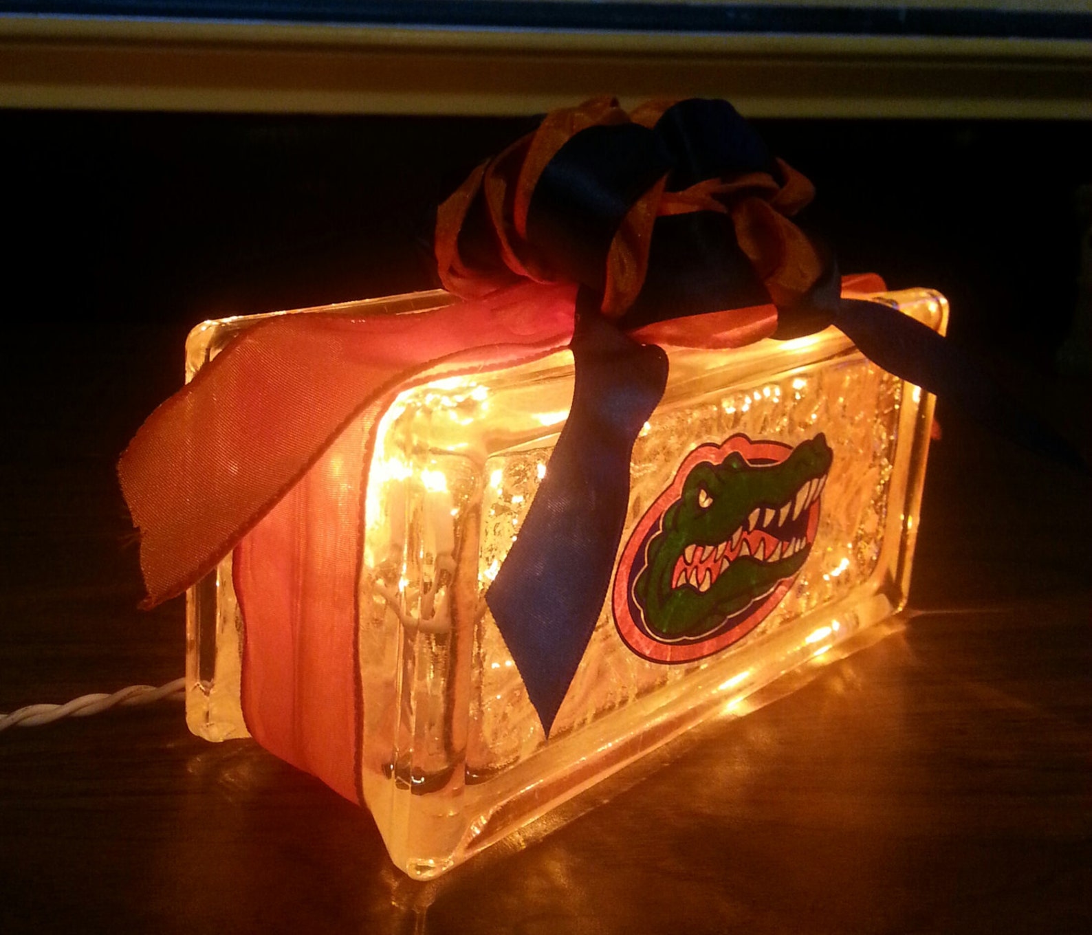FLORIDA GATORS Lighted Glass Block - Etsy