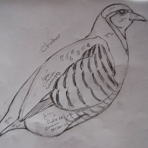 Chukar Partridge Whirligig - Uniquely Designed to Resemble Your Most ...