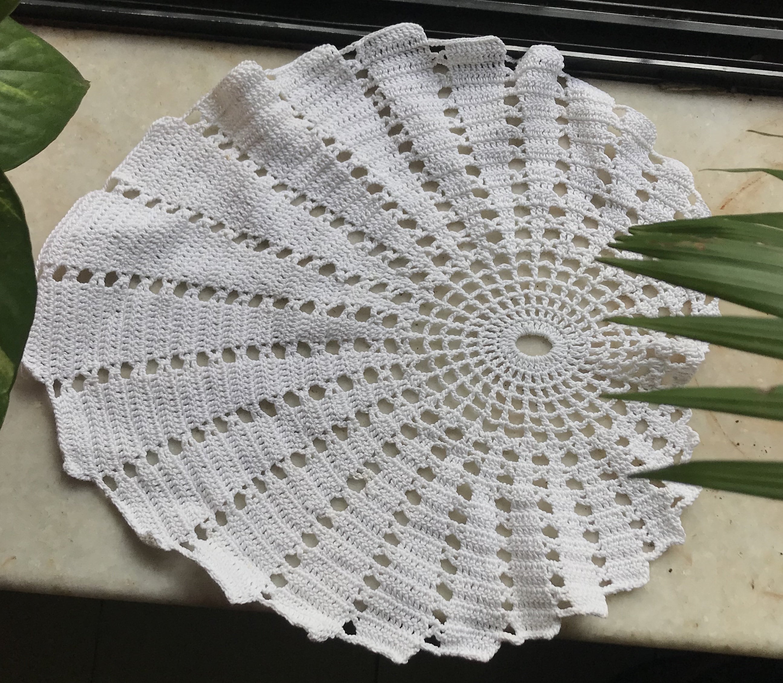Magnificent Shell Doily Lotus Leaf Fractal Pattern - Etsy
