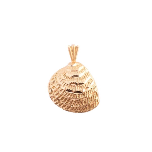 Sea Shell Pendant - Etsy