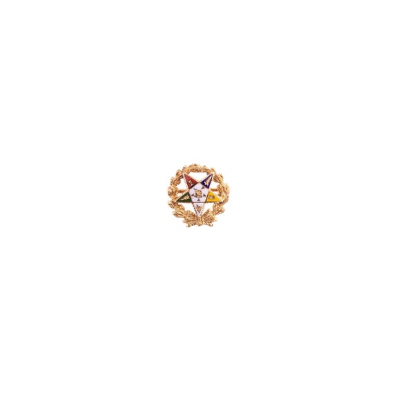 14K Gold Enamel Order of the Eastern Star Tiny Pin - Gem