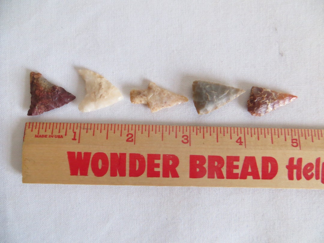 Five Authentic Bird Point Arrowheads Native American From Missouri H198 ...