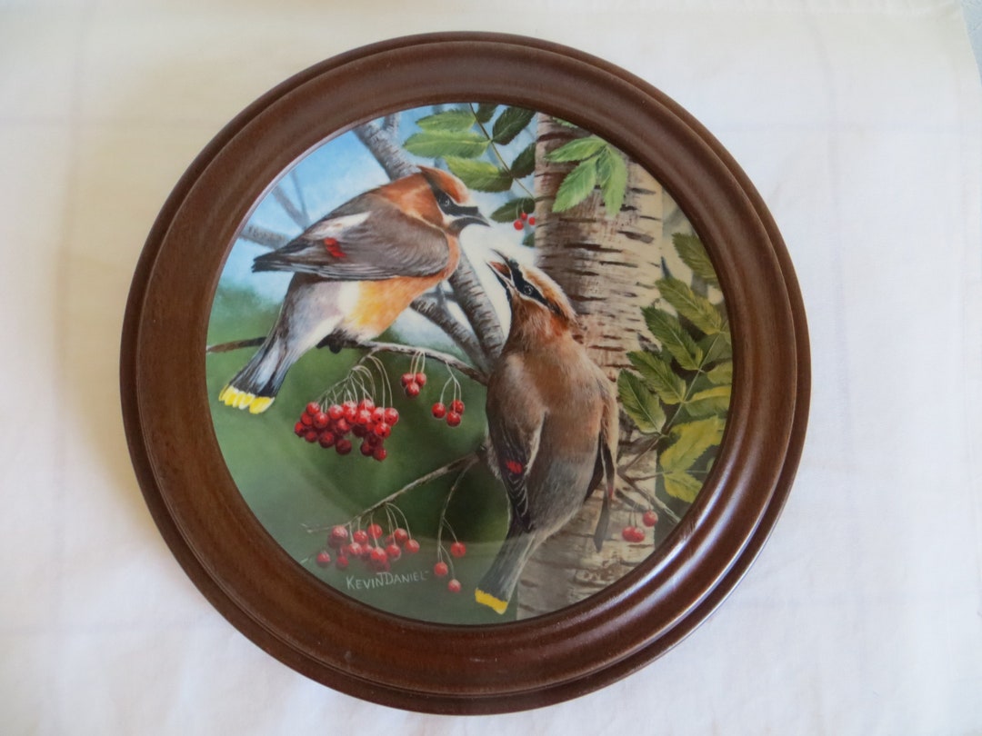 1987 Bird Plate the Cedar Waxwing Kevin Daniel Knowles Plate With Wood ...