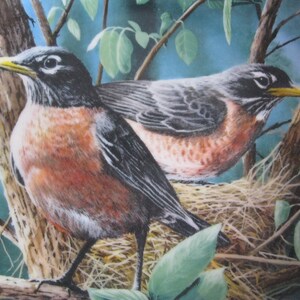 1986 Vintage Knowles Collector Bird Plate the Robin by Kevin Daniel ...