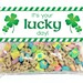 It's Your Lucky Day! - PRINTABLE St. Patrick's Day Treat Bag/goodie Bag ...