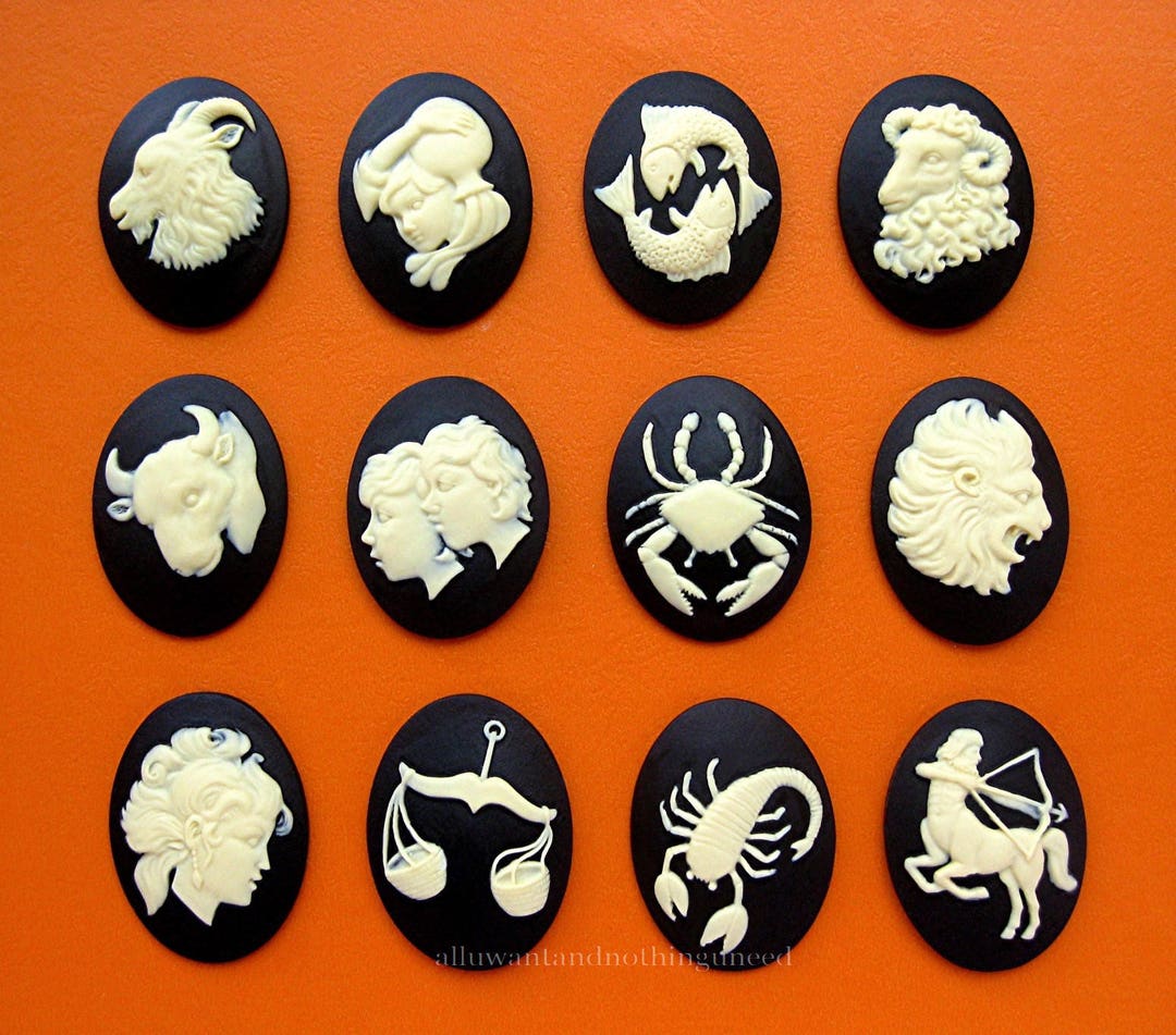 12 Astrological Zodiac Birth Sign Astrology Star Sign Ivory Color on ...