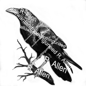 2 Goth Black on Blood Red Crow Raven Blackbird Black Bird Witch Wiccan ...