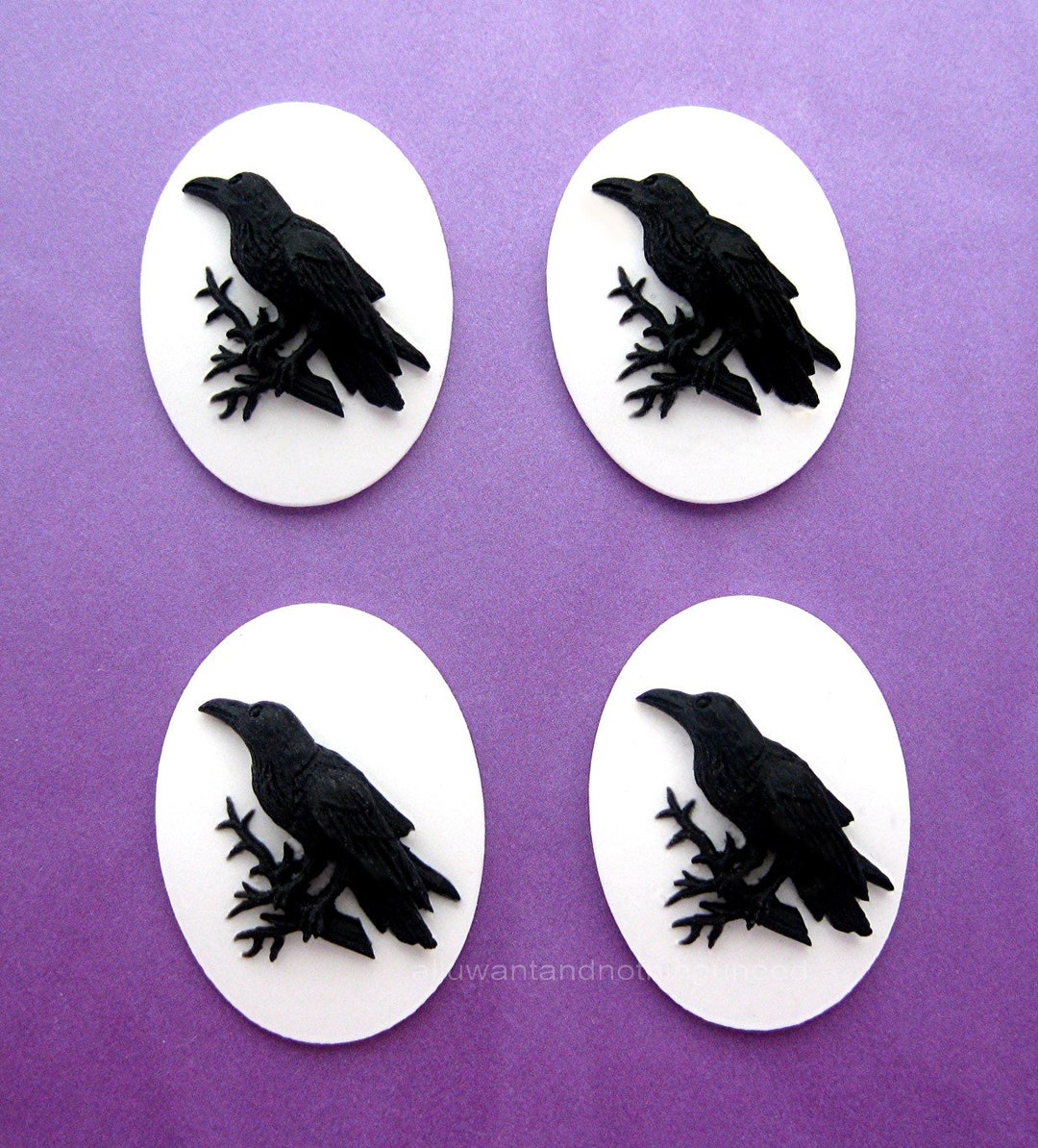 4 Goth Crow Raven Blackbird Black Bird Witch Wiccan Voodoo Halloween ...