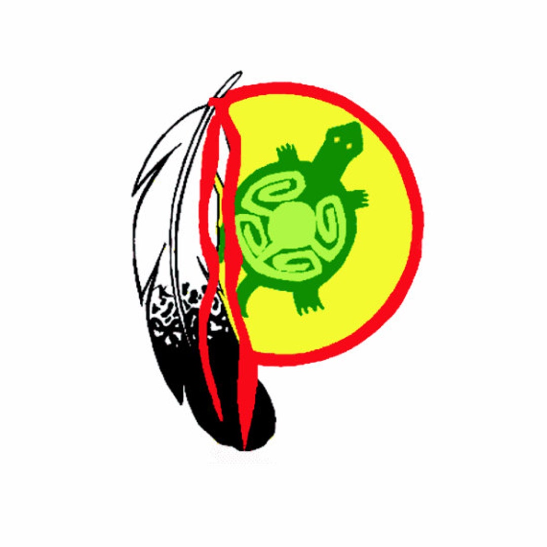 Turtle With Feather Decal - Etsy